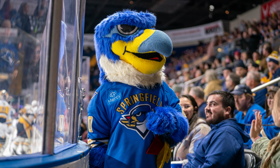 Springfield Thunderbirds | Group Tickets