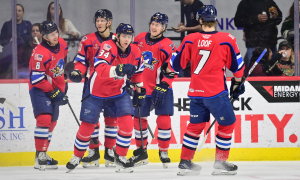 Springfield Thunderbirds | AHL Affiliate of the St. Louis Blues