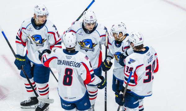 Springfield Thunderbirds | AHL Affiliate of the St. Louis Blues