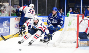 Springfield Thunderbirds | AHL Affiliate of the St. Louis Blues