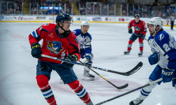 Springfield Thunderbirds | AHL Affiliate of the St. Louis Blues