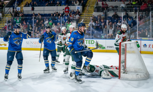 Springfield Thunderbirds | AHL Affiliate of the St. Louis Blues