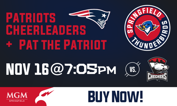 Springfield Thunderbirds | Homepage