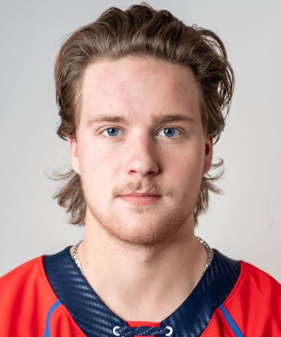 Springfield Thunderbirds | Roster